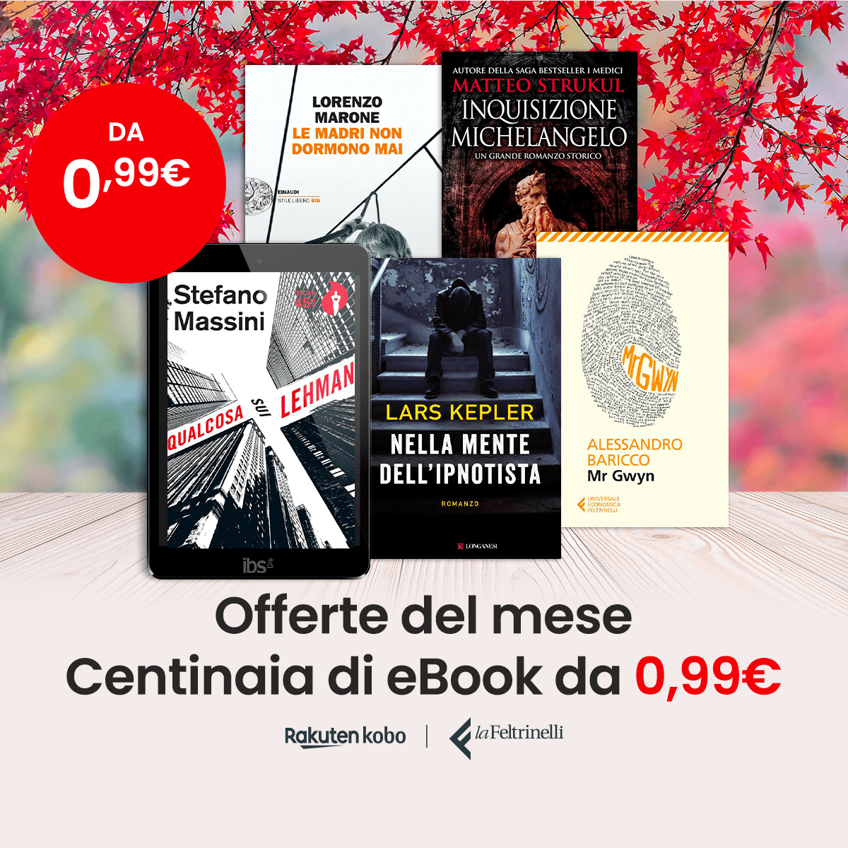 Offerte del mese