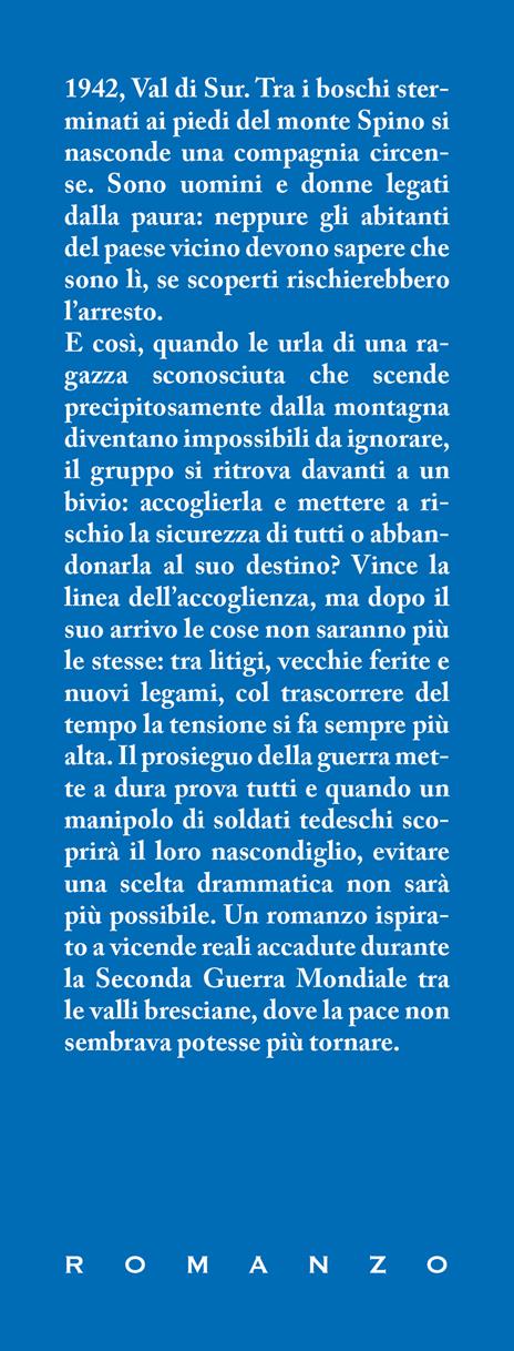 La ragazza della montagna - Veronica Del Vecchio - Libro - Newton ...