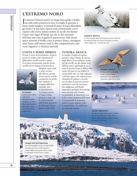 Il libro completo degli uccelli d'Europa. Ediz. a colori - Rob Hume ...