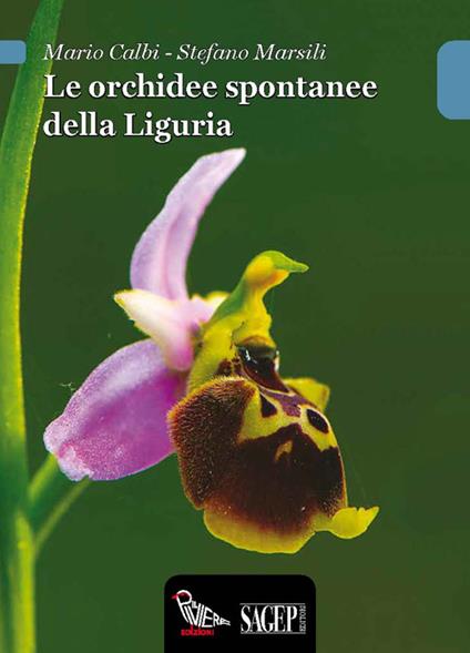 Le orchidee spontanee della Liguria - Mario Calbi - Stefano Marsili ...